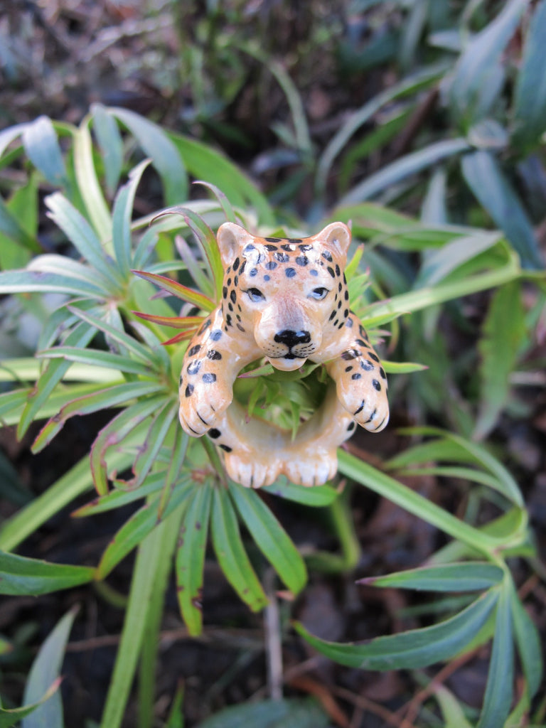Leonard the Leopard Ring – And Mary